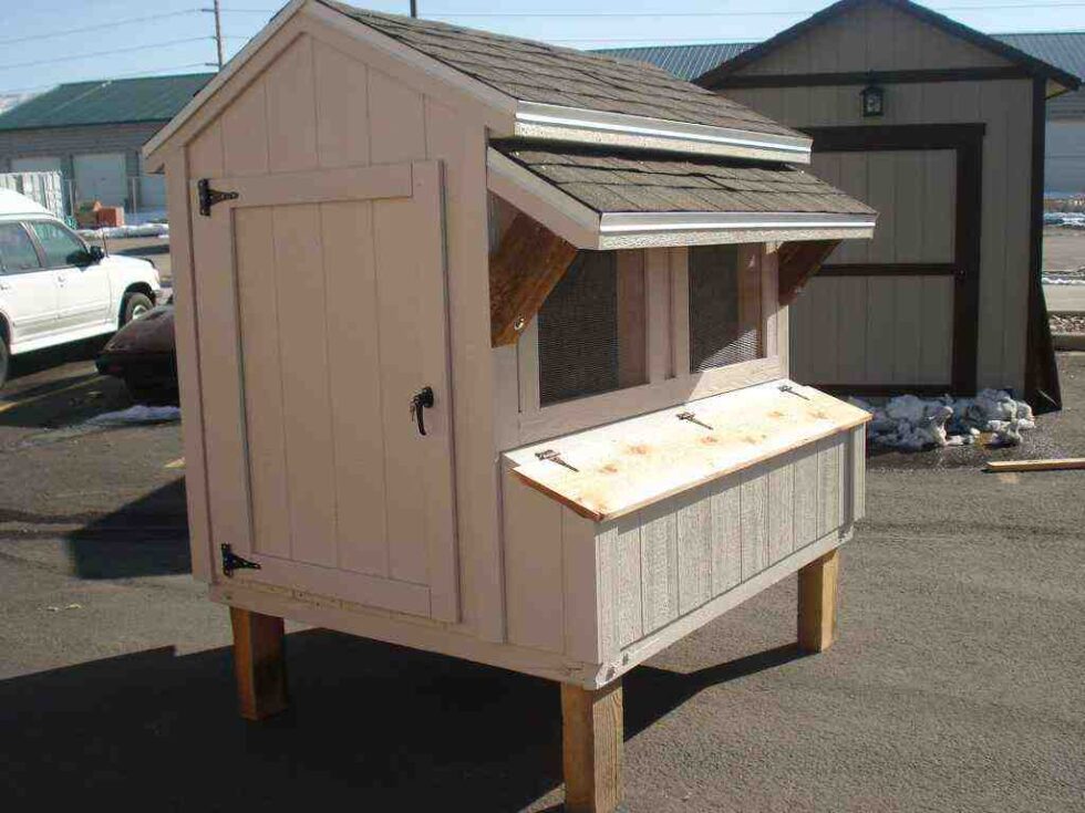 Chicken Houses: 7 Top Picks for Amazing Success 2025