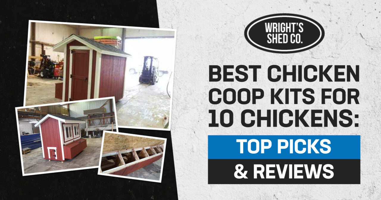 Best Chicken Coop Kits for 10 Chickens: Top Picks & Reviews